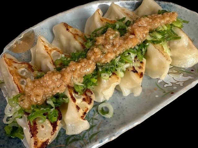 All Japan Gyoza Festival