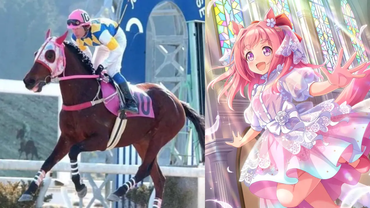 From national icon to global Umamusume star, Haru Urara was the racehorse that never gave up
