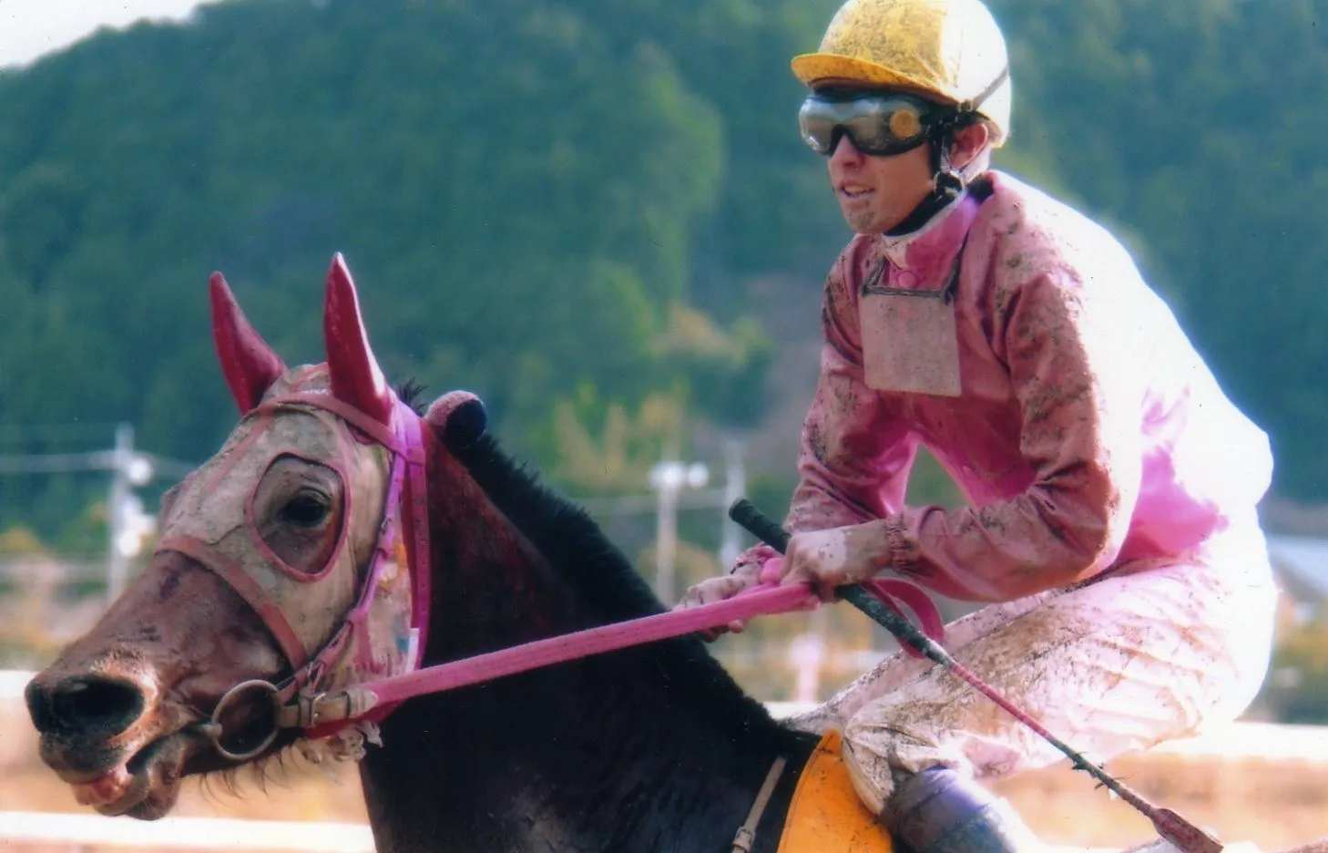 From national icon to global Umamusume star, Haru Urara was the ...