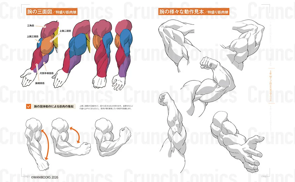 "How to Draw A Muscle Mommy" Art Reference Book Launches in Japan